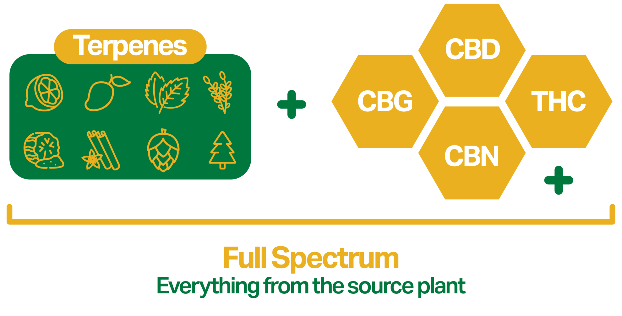 the entourage effect - Nature Med Dispensaries
