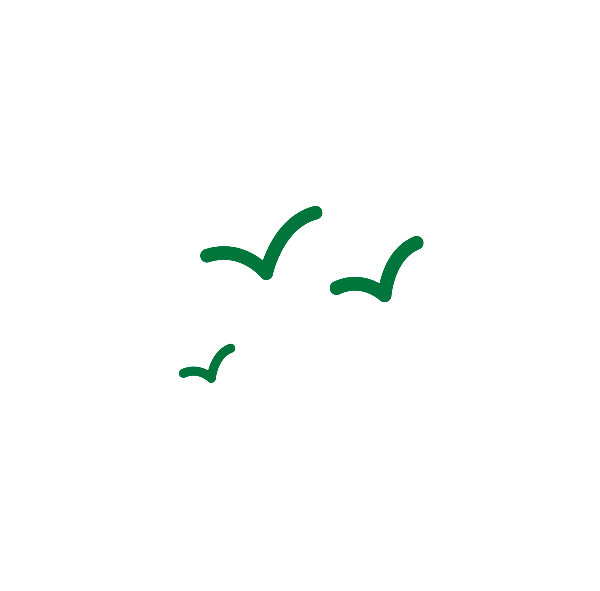 the entourage effect - Nature Med Dispensaries